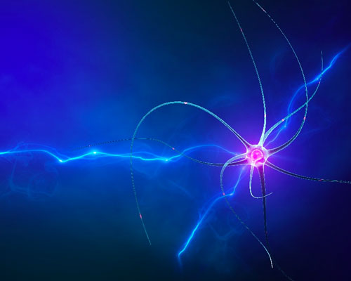 Evento4 - Neurociências - UFMG