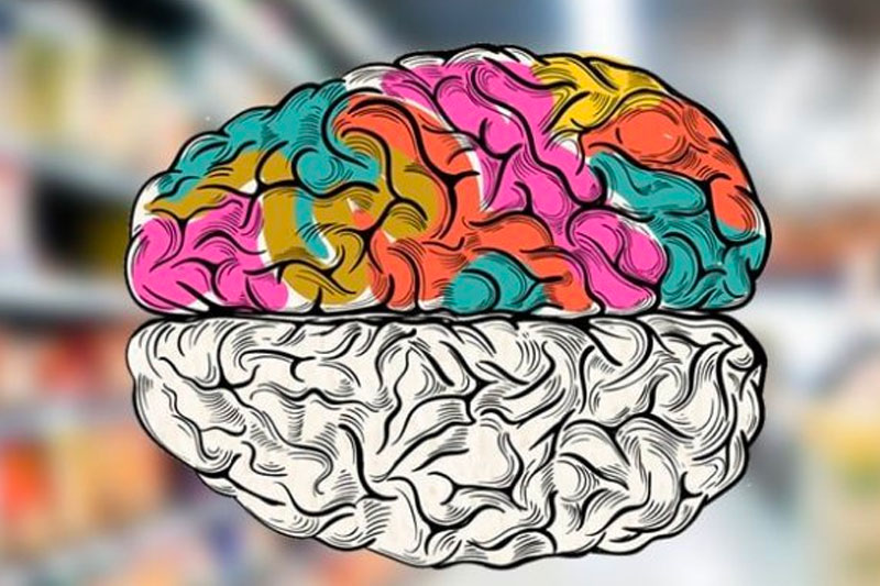 Notícia6 - Neurociências - UFMG